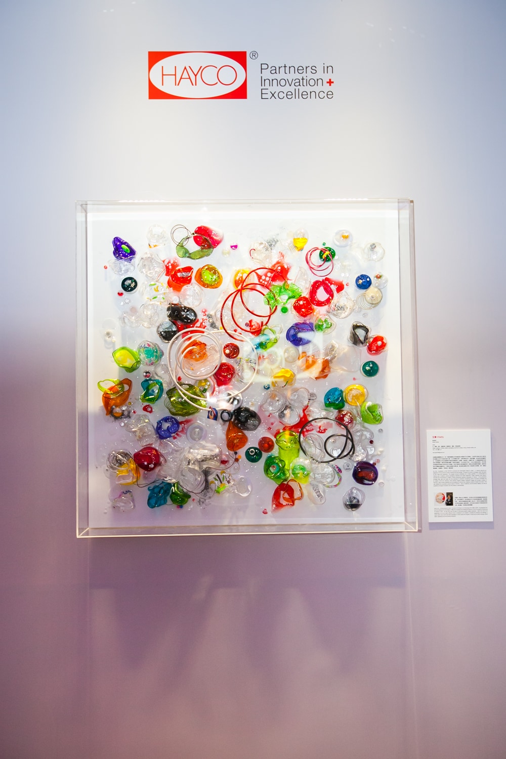 35th Anniversary | Hayco